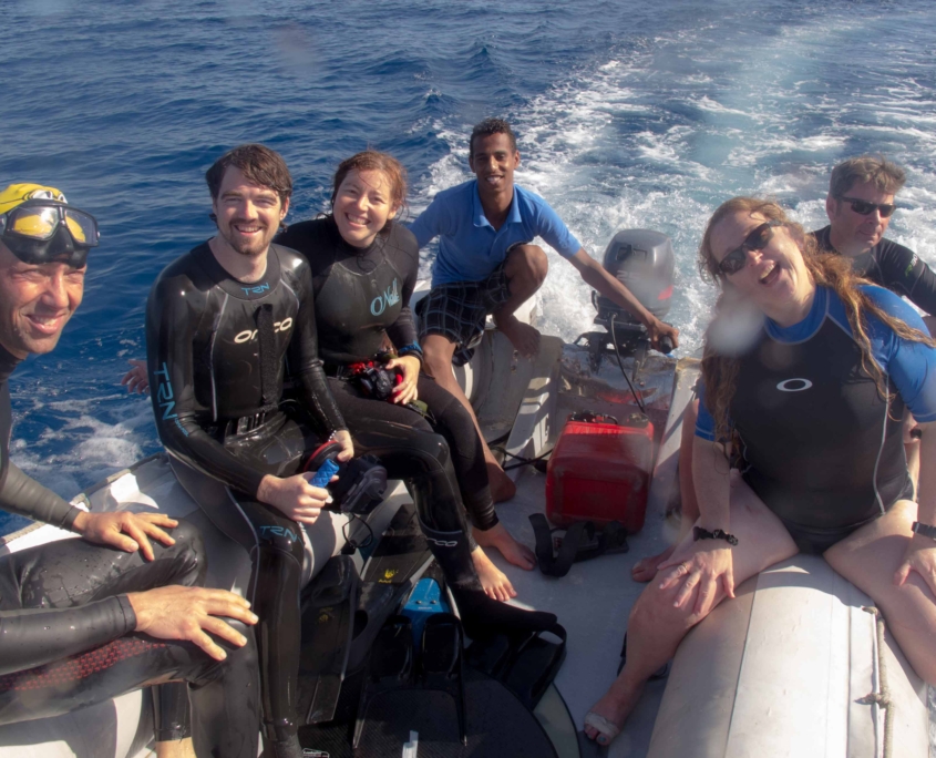 Daily Diving with Aquastars